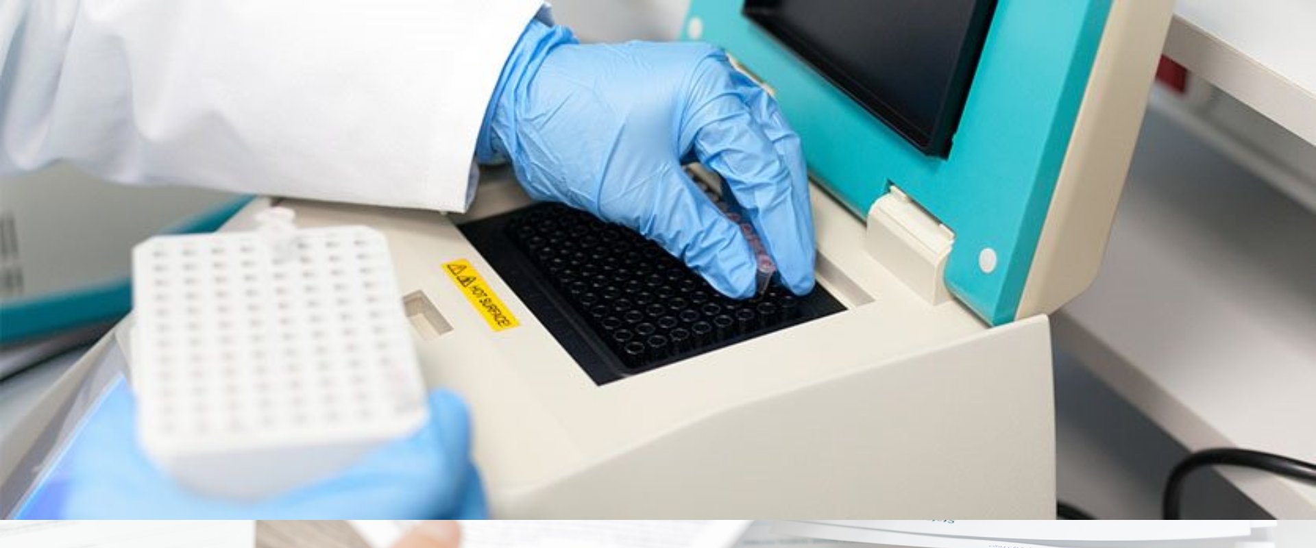 Polymerase Chain Reaction Market Segmentation | Medical Devices, PCR